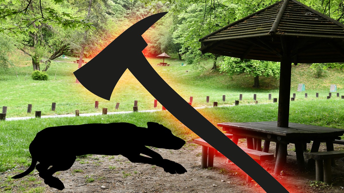 Muškarac sekirom ubio psa na Košutnjaku - Blic