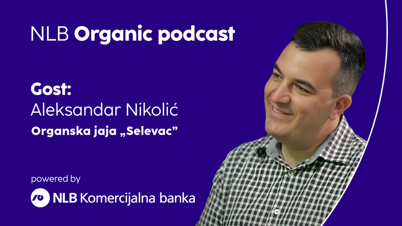 Kako izgleda jedna organska farma jaja u Srbiji?