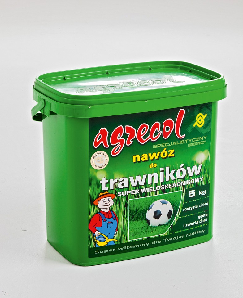 Pielęgnacja trawnika - Dom