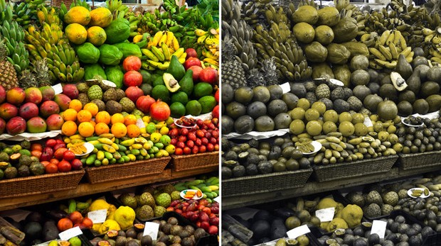 Co widzą daltoniści? Rodzaje daltonizmu