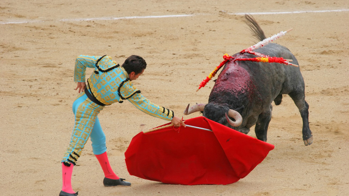 Hiszpania: korrida powróciła do telewizji - Podróże