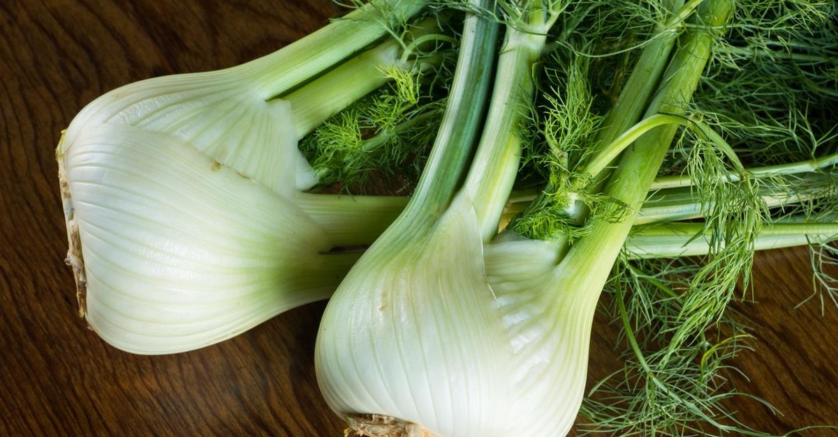 Koper włoski - co warto o nim wiedzieć?