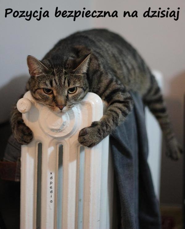 Zimno? Pora na rozgrzewającą dawkę śmiechu. Najlepsze memy o mrozie ...