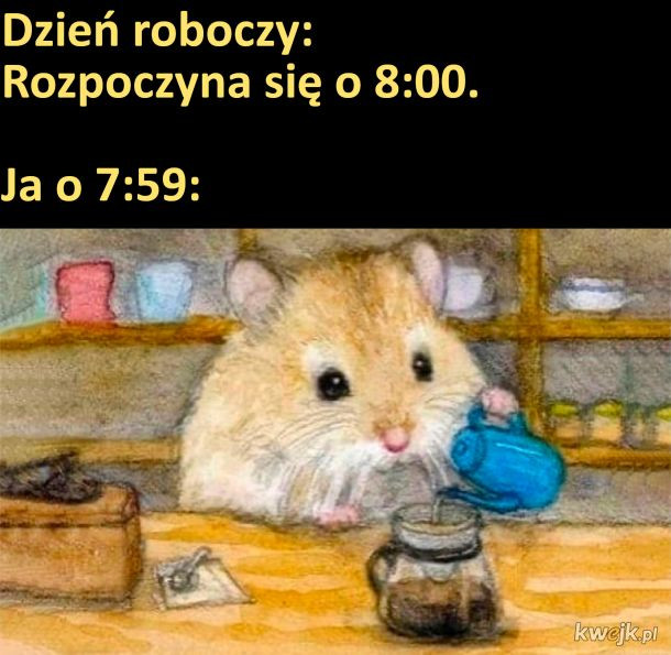 Najlepsze memy o kawie na Dzień Kawy. Spróbuj się nie zaśmiać - Kobieta