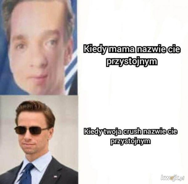 Krzysztof Bosak wicemarszałkiem Sejmu. Internauci nie odpuszczają [MEMY ...