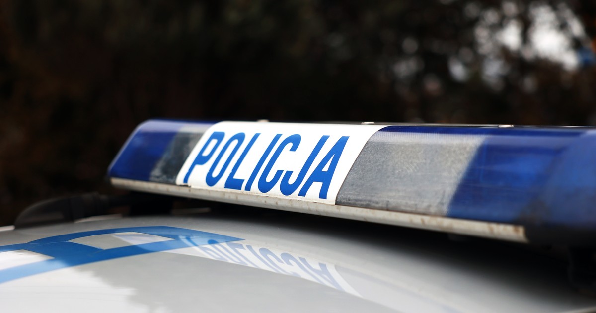 Pijana matka przyszła po dziecko do przedszkola. Nauczycielka wezwała służby - Wiadomości