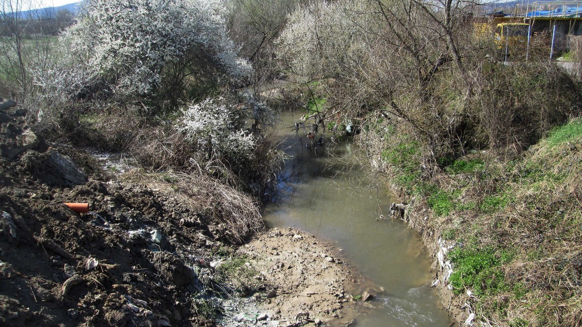 Zbog crvene boje reka Kubršnica stigla do tužilaštva u Aranđelovcu - Blic