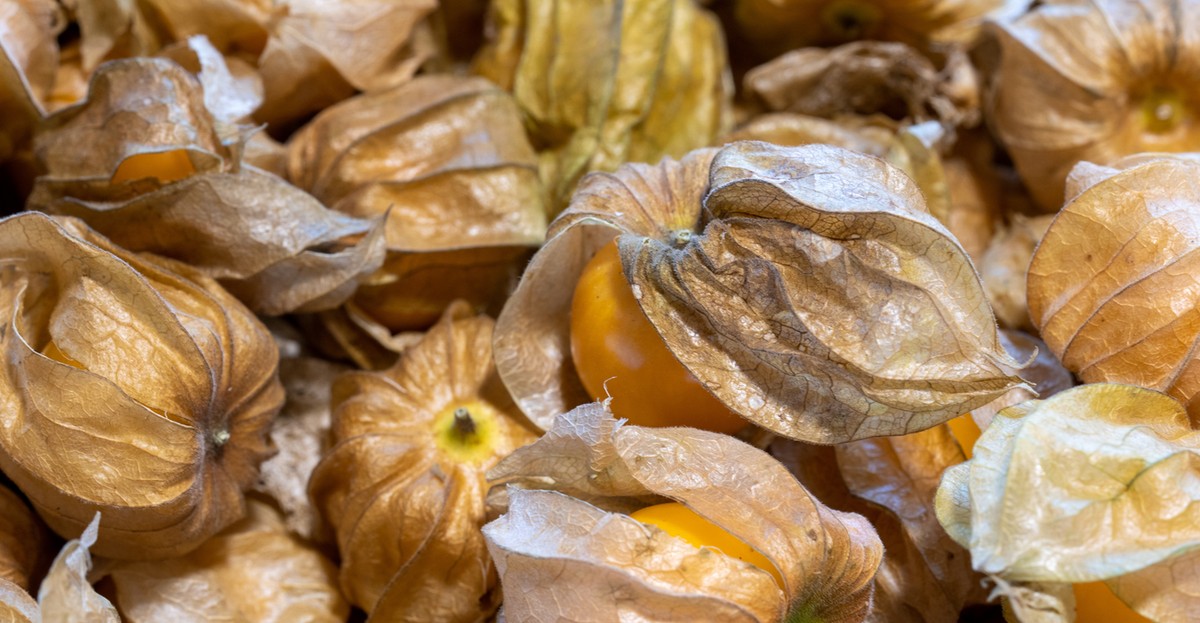 Physalis to skarbnica witaminy C. Jak jeść ten owoc?