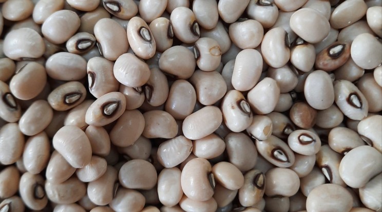 Egy ősi növény mentheti meg a fél világot az éhezéstől - Blikk