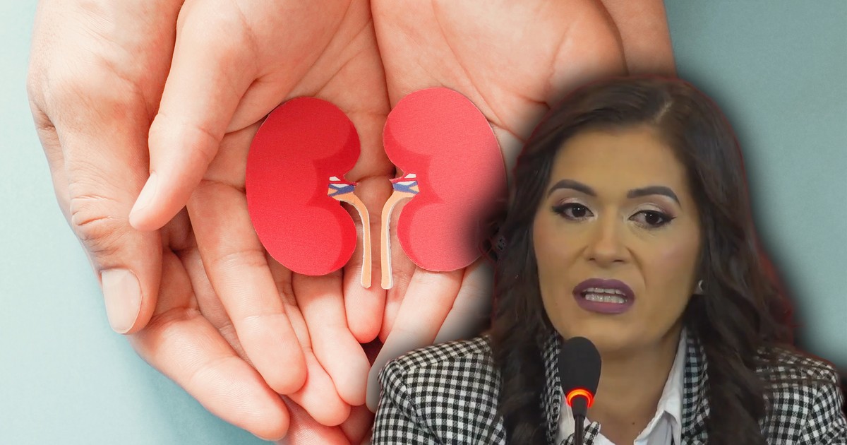 Transplantacija organa: Jasmina Miljković donirala bubreg sinu i ...