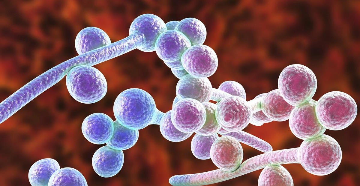 Gynazol - działanie, wskazania, przeciwwskazania, dawkowanie