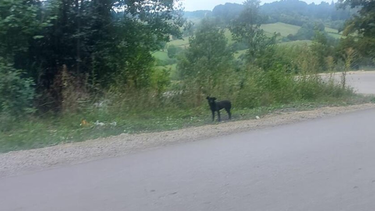 NAJTUŽNIJA SLIKA DANAS IZ SRBIJE! Već duže od mesec dana ČEKA NA ISTOM ...