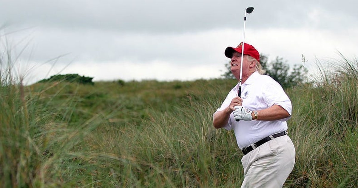 Welcome to the MAGA bizarro world where Trump's tax returns prove he's ...