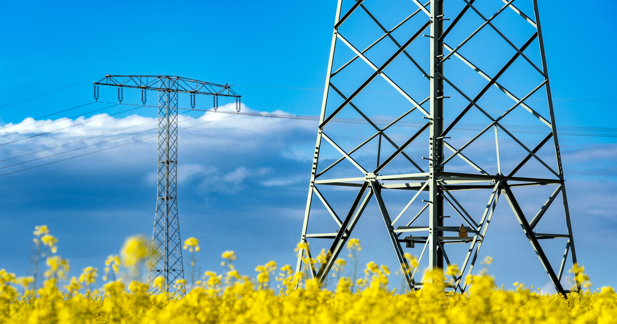 Strom-Bestpreise für Singles: Bonus ab 1500 kWh bei enviaM sichern ...