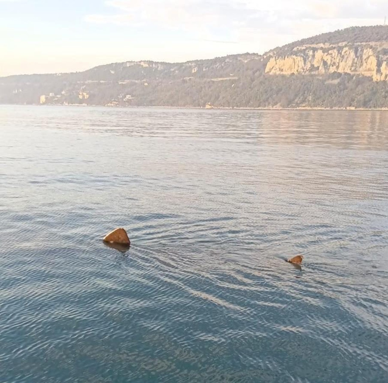 Ajkula snimljena u Jadranskom moru (FOTO) - Blic