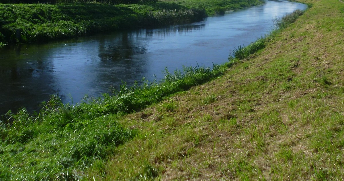 Rzeka Łeba w woj. pomorskim przerwała wał przeciwpowodziowy. Nagranie ...