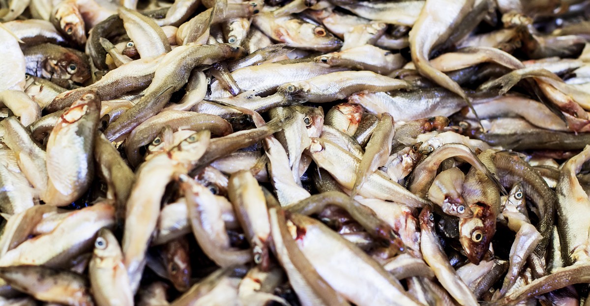 Japoński sposób na raka. Jedzą konkretne rzeczy