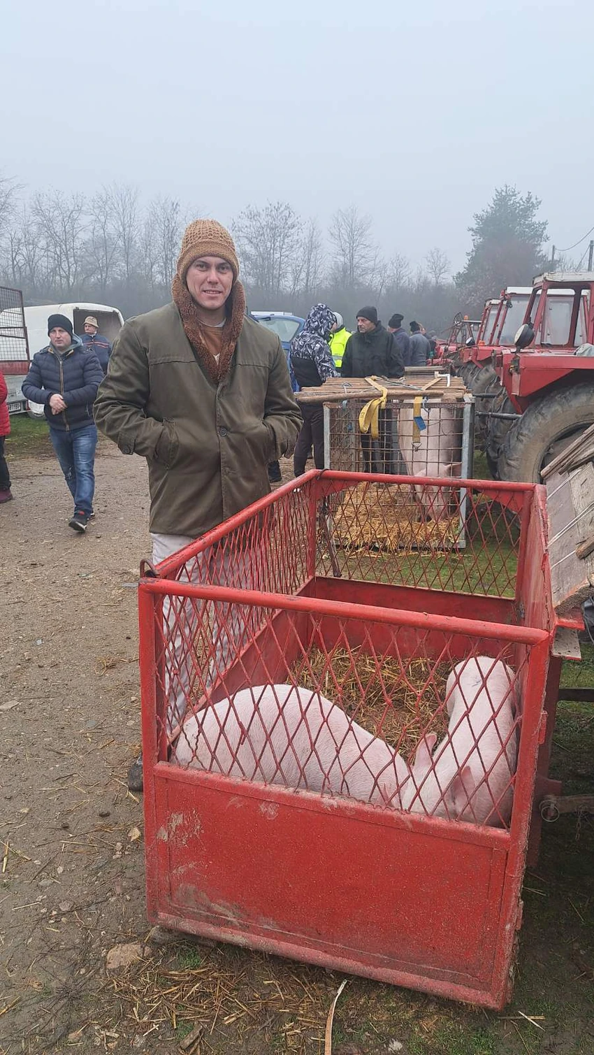 (foto) Hit na pijaci kod Bujanovca: Pogledajte rekordera od preko 300 kila