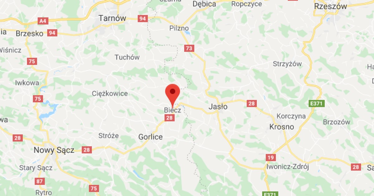 Biecz: Samochód zderzył się z jeleniem. Siedem osób rannych - Wiadomości
