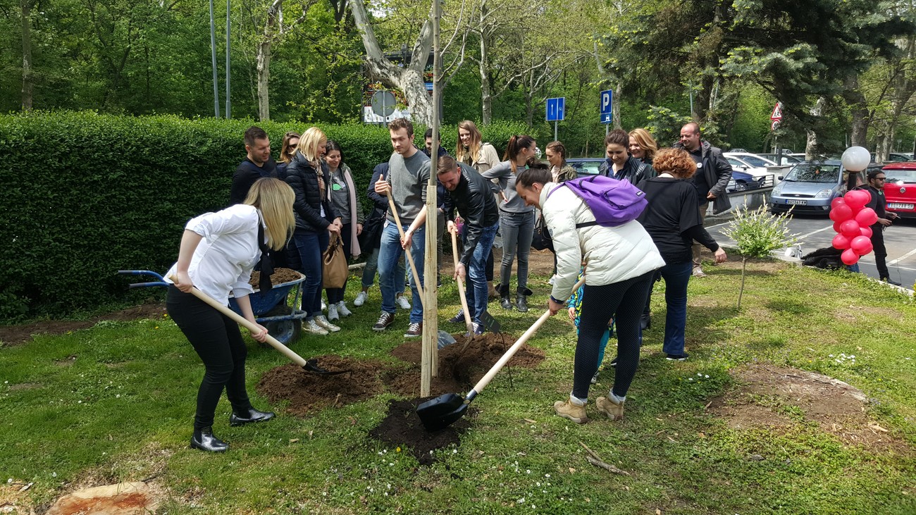 SIMBOL PRIJATELJSTVA Krimska lipa posađena u dvorištu beogradskog ...