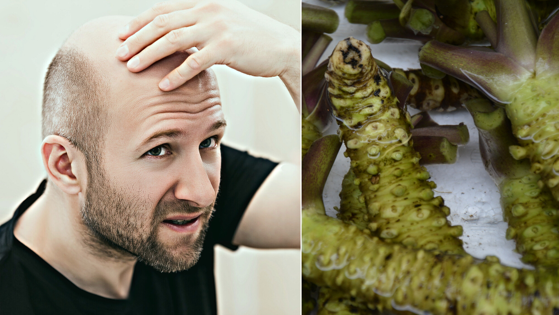 Plešatosť môže zvrátiť wasabi. Podporuje rast vlasov, musíte ho však ...