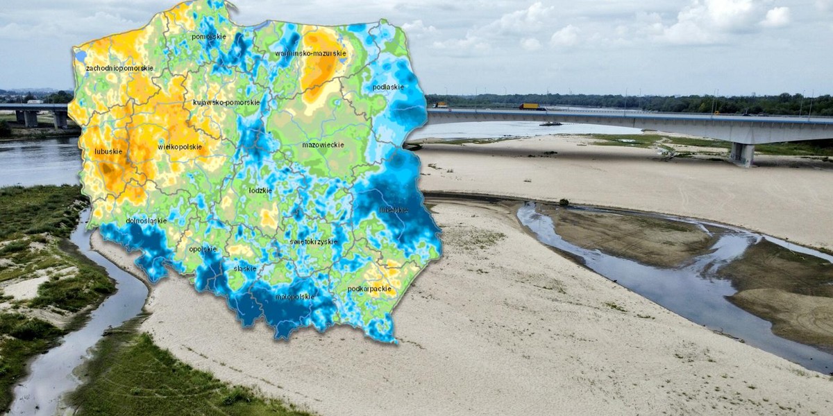 Susza w Polsce wcale nie zniknęła, a się przyczaiła. Zobacz najnowsze ...