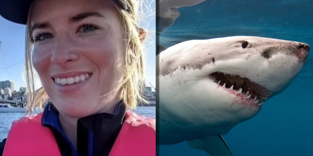 "Woda była czerwona od krwi". Atak rekina w porcie w Sydney - Podróże