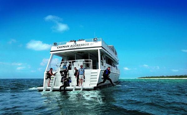 Kajmany - podwodny świat - Podróże