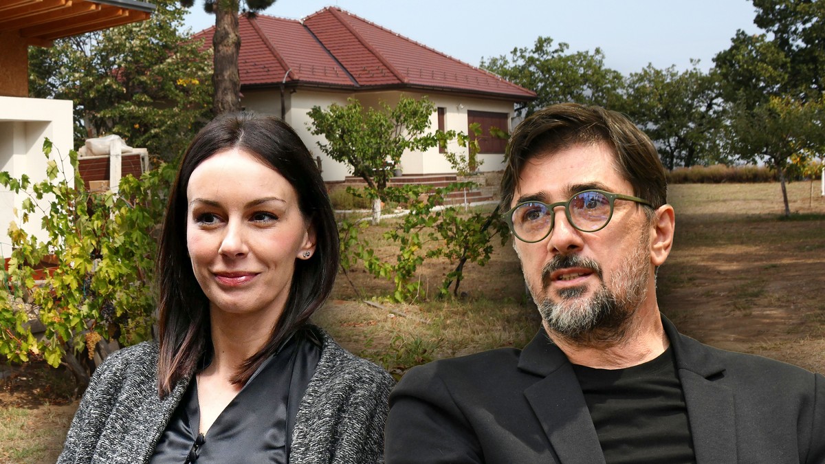 Ovo je vikendica Slobode Mićalović i Vojina Ćetkovića, vinova loza ...
