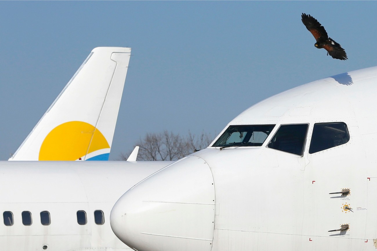 POSLE 30 GODINA Avioni iz Srbije lete za SAD