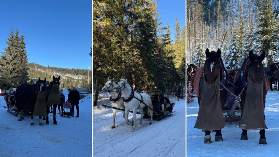 Tyle trzeba zapłacić za jedzenie w schronisku nad Morskim Okiem. "Cenią ...