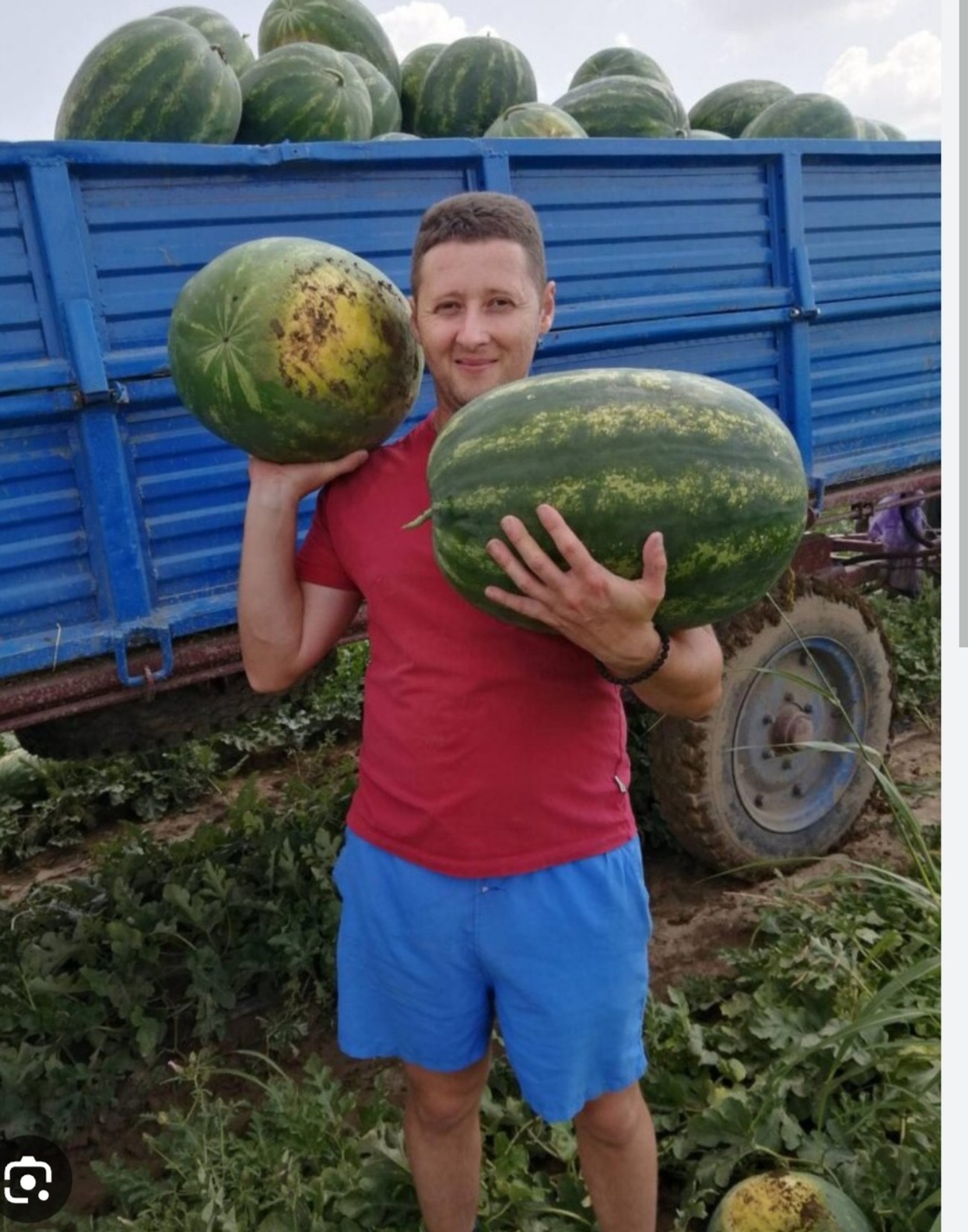 Savatići iz Ogara su značajni proizvođači bostana i cenjeni ratari svesni da proizvodnju stalno ...