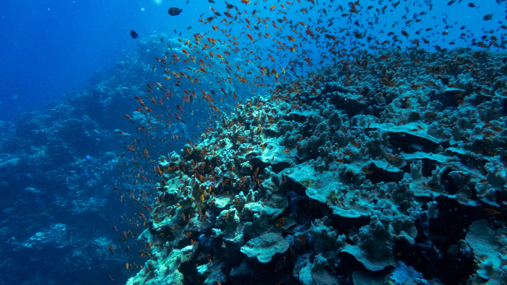 Desivé miesto, ktoré zabije všetko, čo sa k nemu priblíži. Podľa vedcov ...