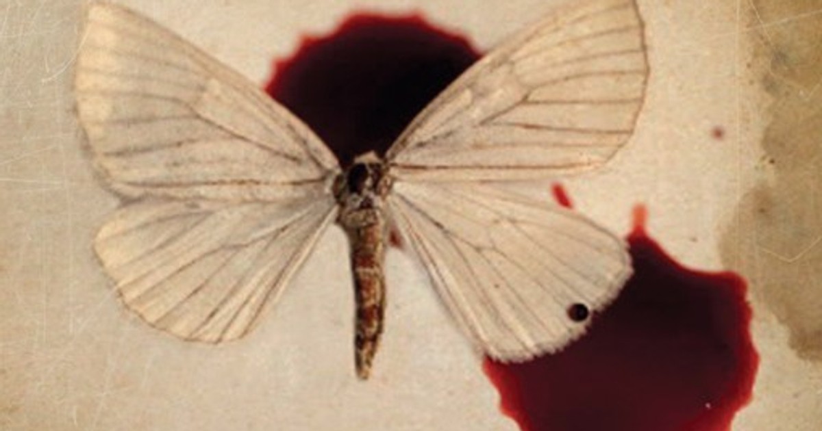 Recenzja: "Motylek" Katarzyna Puzyńska - Książki