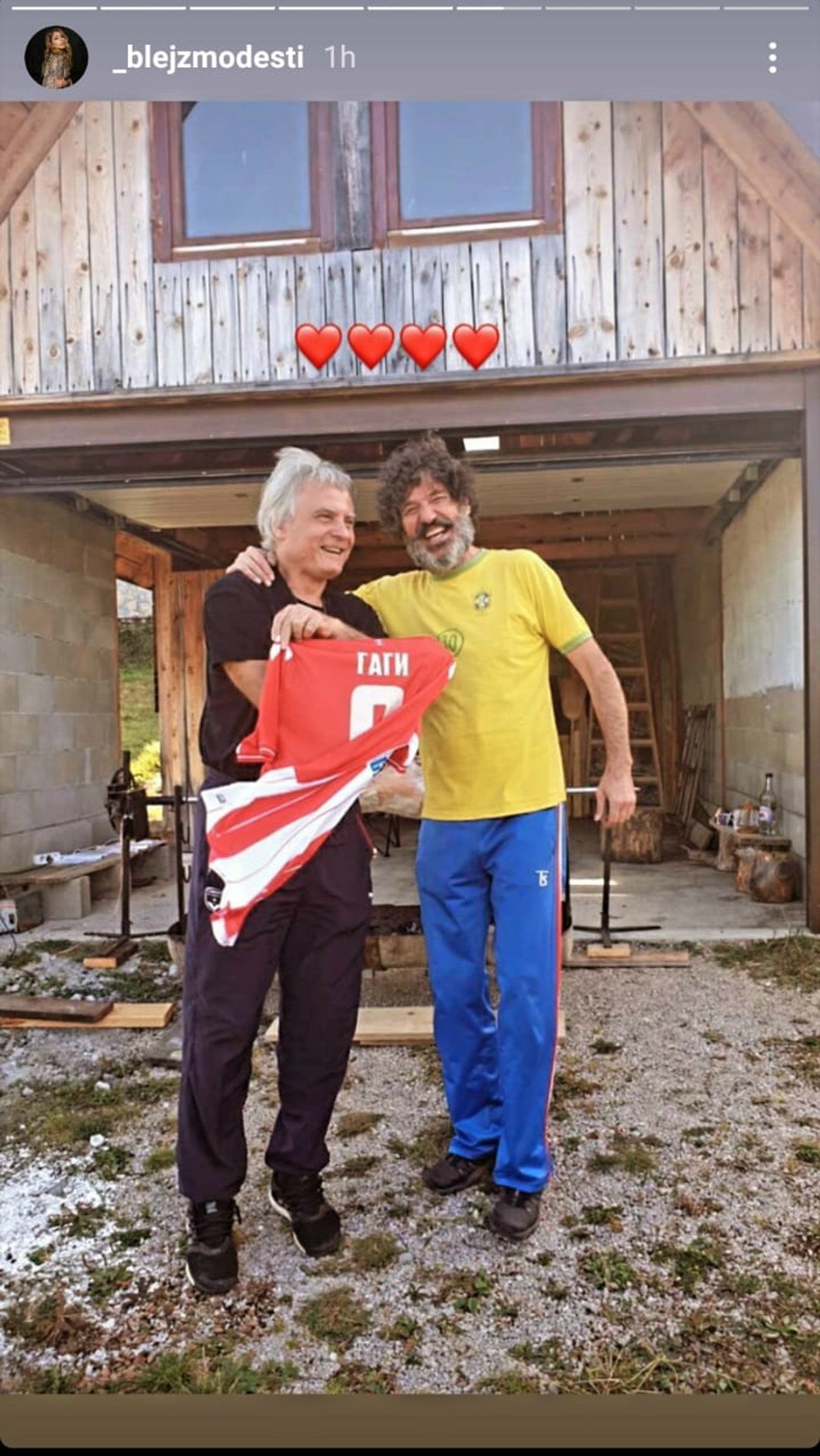 dragan gagi jovanovic branka pujic rodjendan selo - Blic