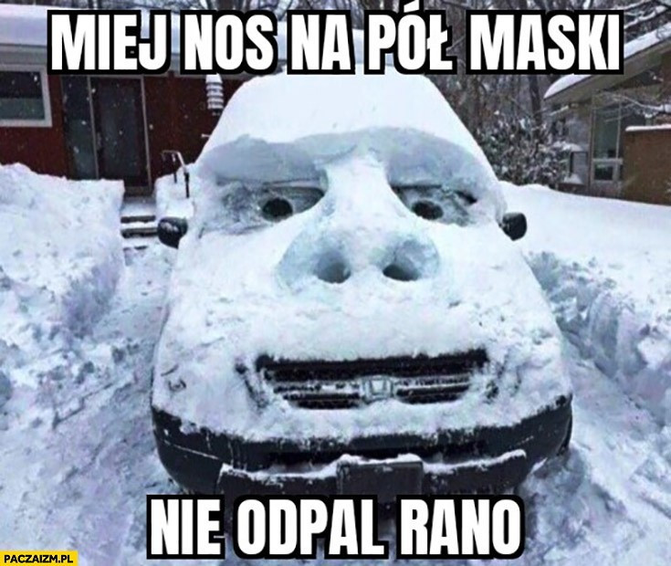 Zima dotarła do Polski. Oto najlepsze memy - Kobieta