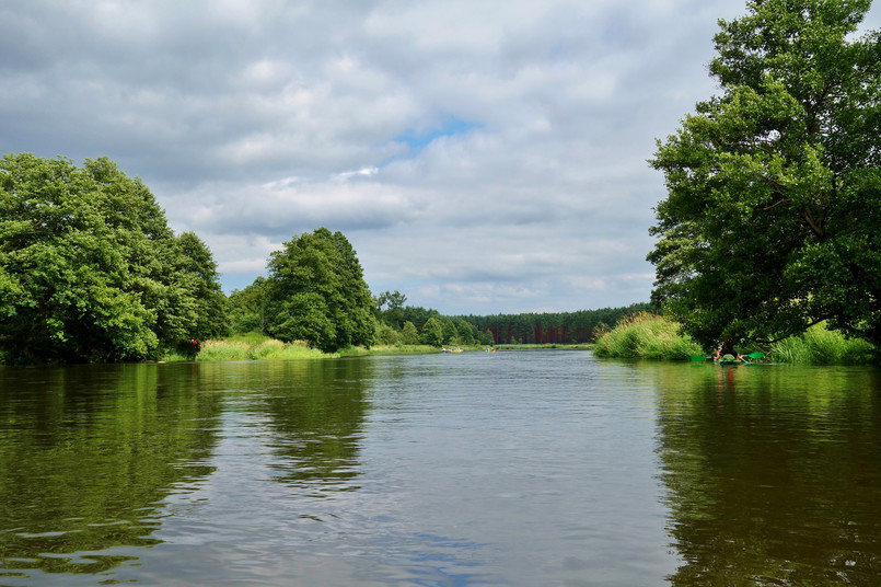 Śnięcie ryb w rzece Ner. Urząd Wojewódzki w Łodzi poinformował o ...