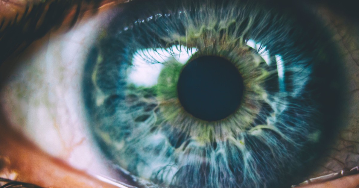 Badając dno oka można przewidzieć problemy z sercem - Dziennik.pl