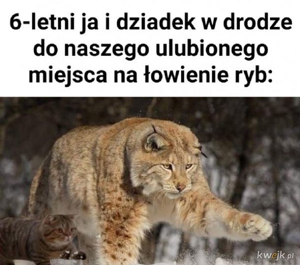 Dzień Dziadka. Najlepsze memy o polskich dziadkach. Uśmiejesz się do ...