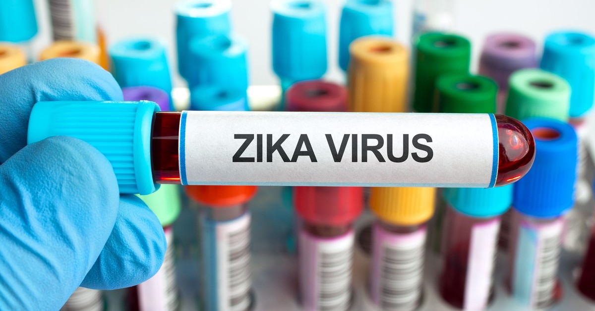 Wirus Zika coraz bliżej Polski. Jest już w Czechach - Dziennik.pl