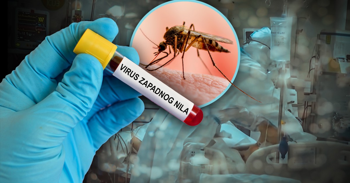 Simptomi i komplikacije virusa Zapadnog Nila: Raste broj zaraženih od ...