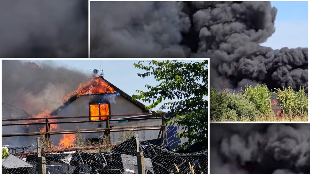 Prvi snimci jezivog požara kod Novog Sada: Vatra se širi, gust crni dim kulja na sve strane - Blic