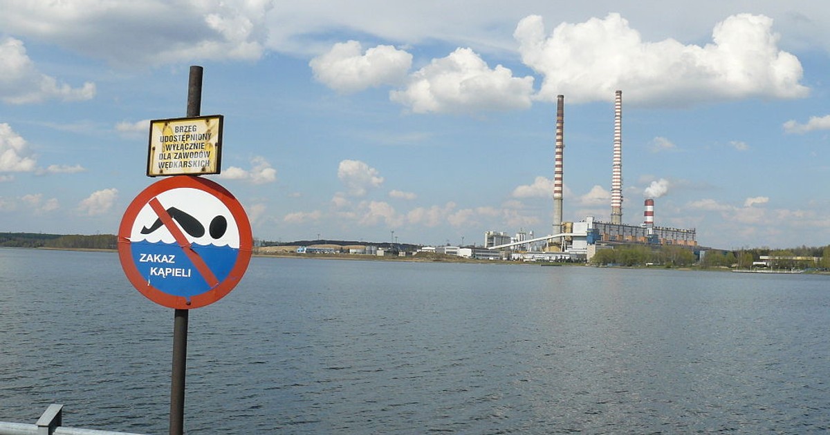 Rybnik: sum gigant wyłowiony w Zalewie Rybnickim - Wiadomości