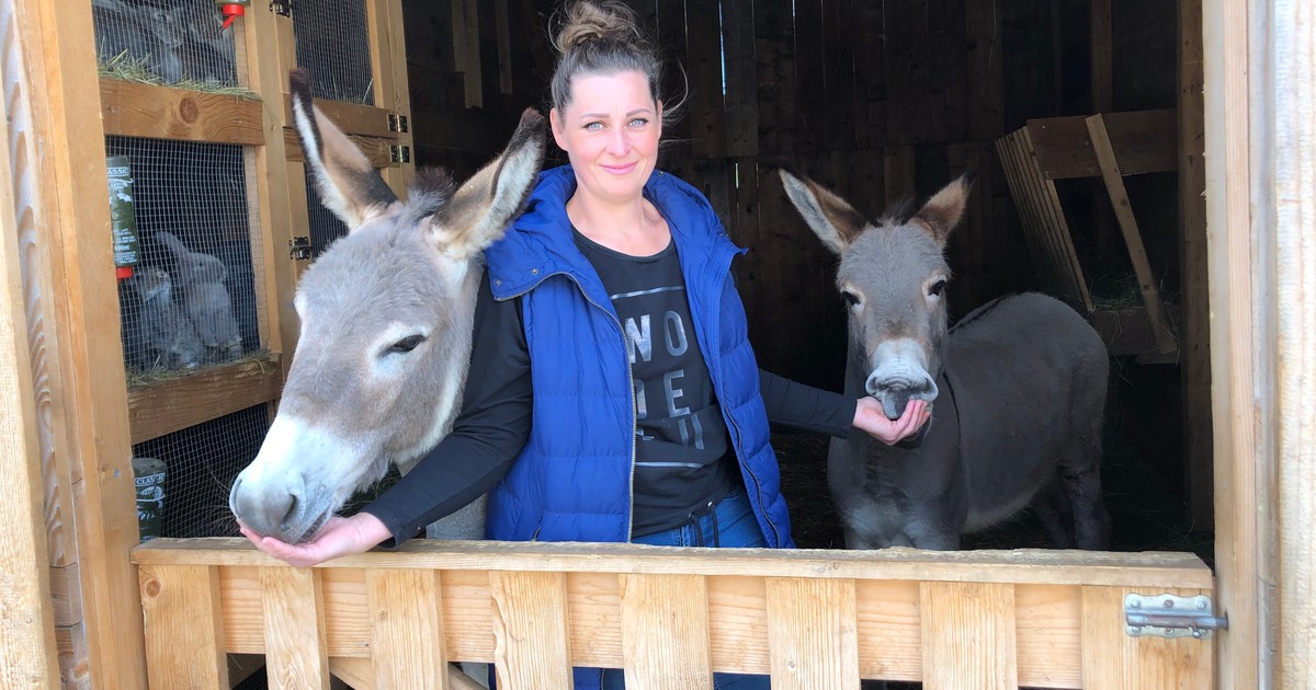 Porzuciła "amerykański sen" i wróciła do Polski. "To była najlepsza ...