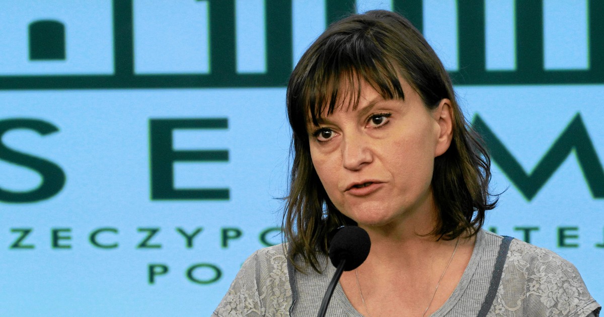 Ewa Stankiewicz: widać ogromną skalę szczucia - Wiadomości