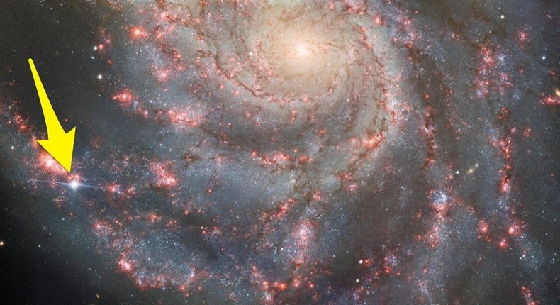 A supernova that exploded in a nearby galaxy is one of the brightest in ...