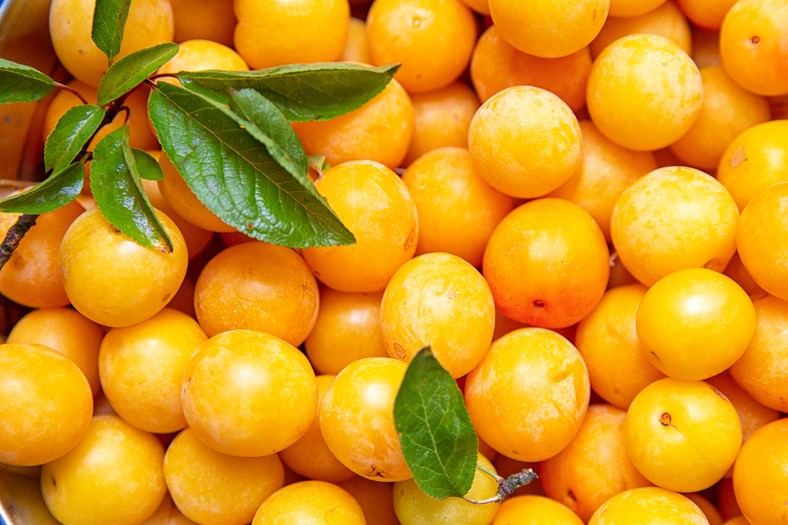 Mirabelki - przepis na dżem, właściwości zdrowotne i dla urody - Onet Gotowanie