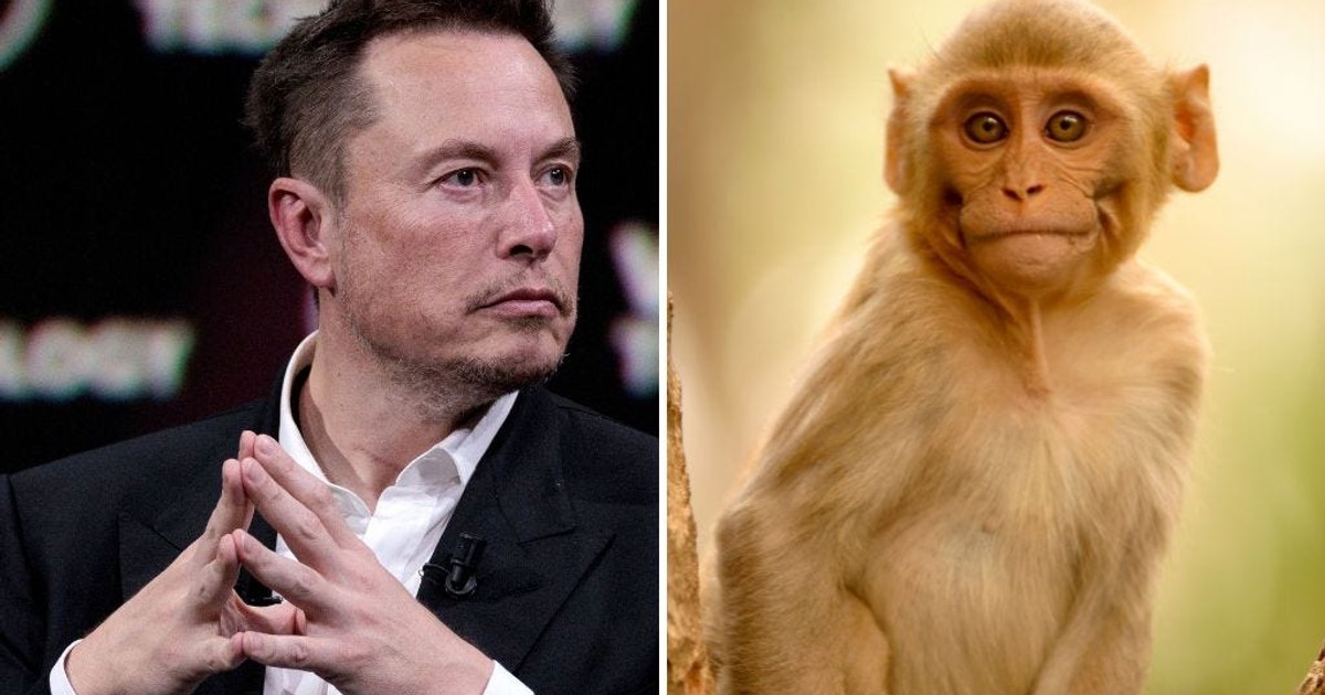 Neuralink patient said he asked about reports of botched brain-chip surgeries on monkeys ...