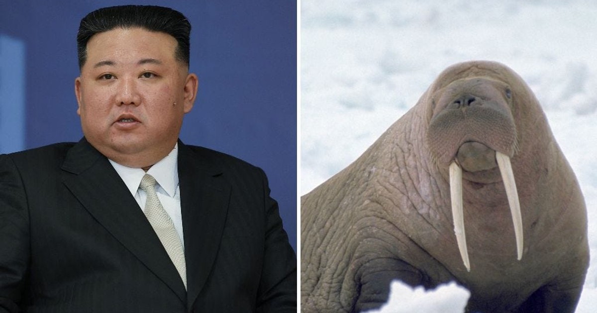 Kim Jong Un's hot Russian summer included a trip to see a walrus show ...