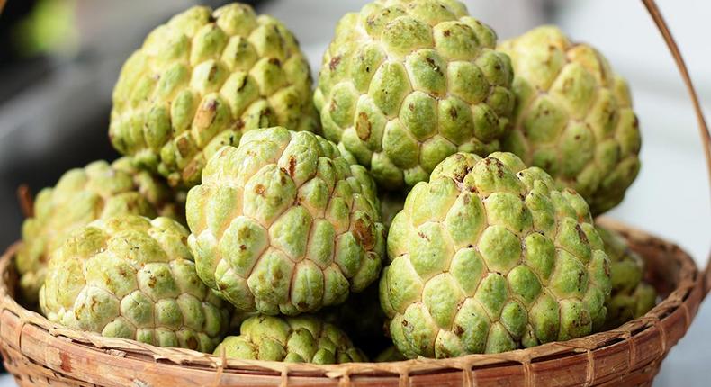 Health benefits of custard apple, graviola, matomoko | Pulselive Kenya